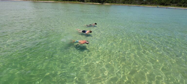 Blog – Smile N' Wave